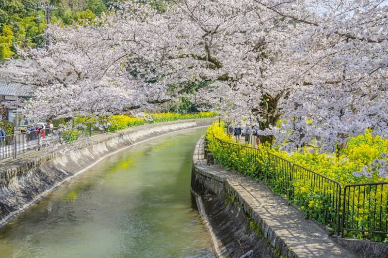 Yamashina Canal