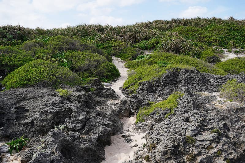 Habyan (Cape Kaberu)