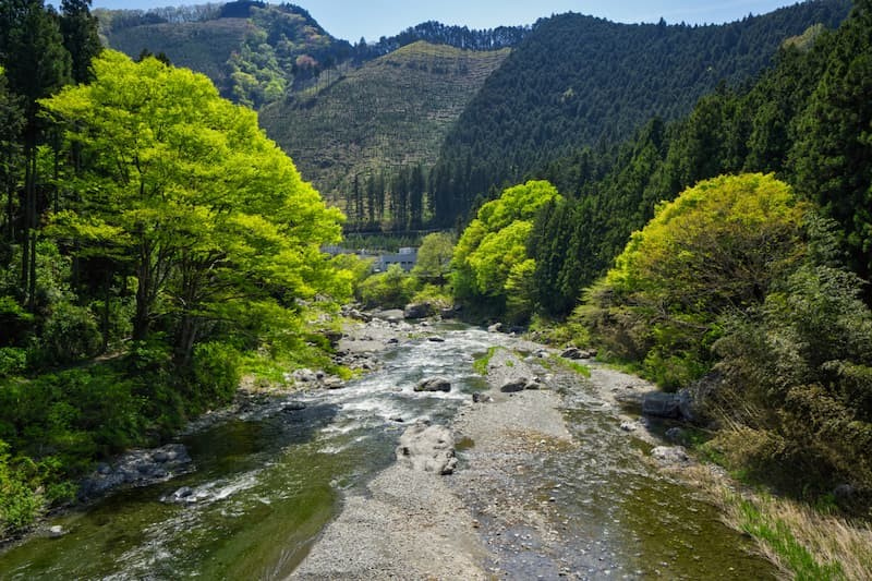 Mitake Gorge
