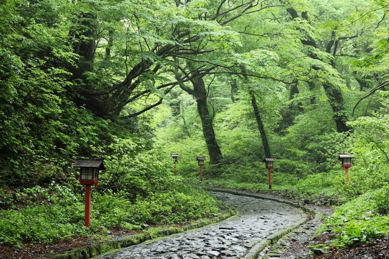 Stone-paved approach