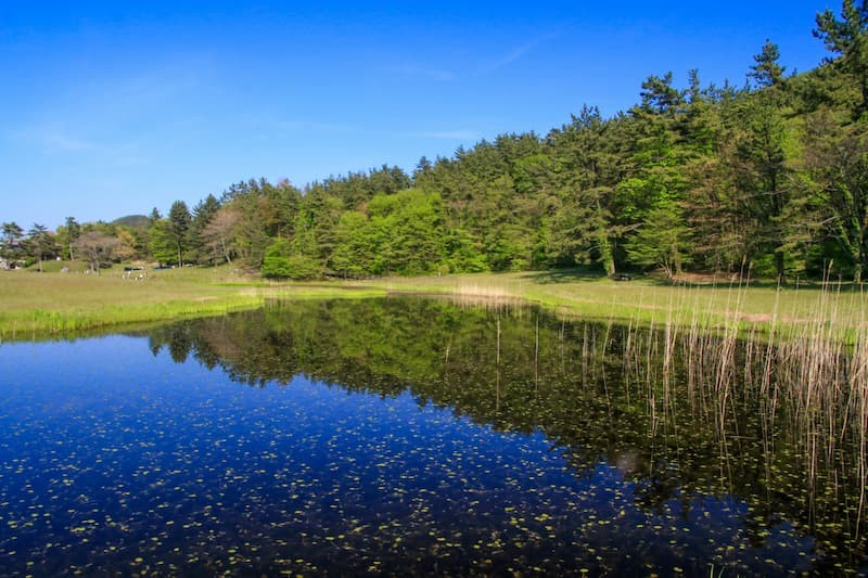 Himenoga Pond