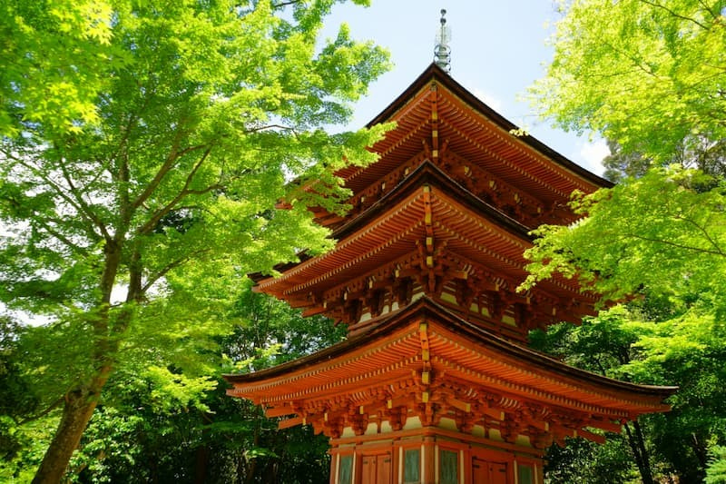 Joruriji Temple