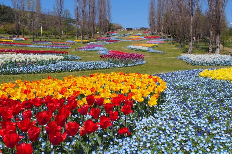 Công viên Akashi Kaikyo Quốc gia Đảo Awaji