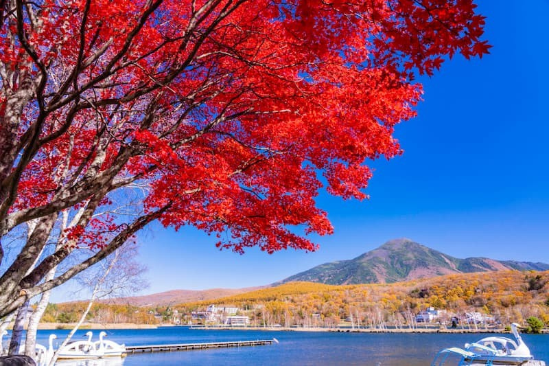 Lake Shirakaba