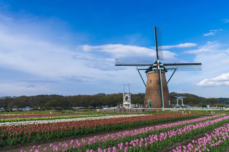 Tempat-tempat indah untuk Sakura/Yachimata | ZEKKEI Japan (0/0)