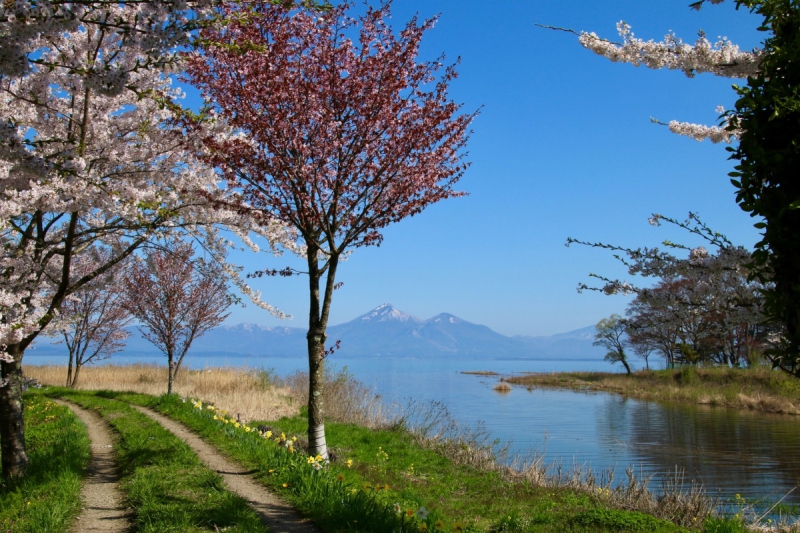 Tempat-tempat indah untuk koriyama | ZEKKEI Japan (1/1)