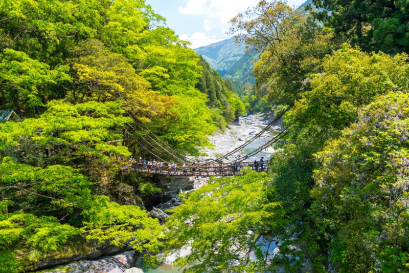 Tempat-tempat indah untuk Oboke, Iya, Tsurugiyama | ZEKKEI Japan (1/1)
