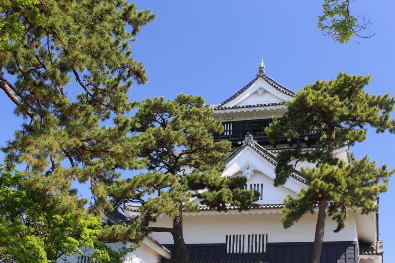 Tempat-tempat indah untuk Mikawa | ZEKKEI Japan (1/1)