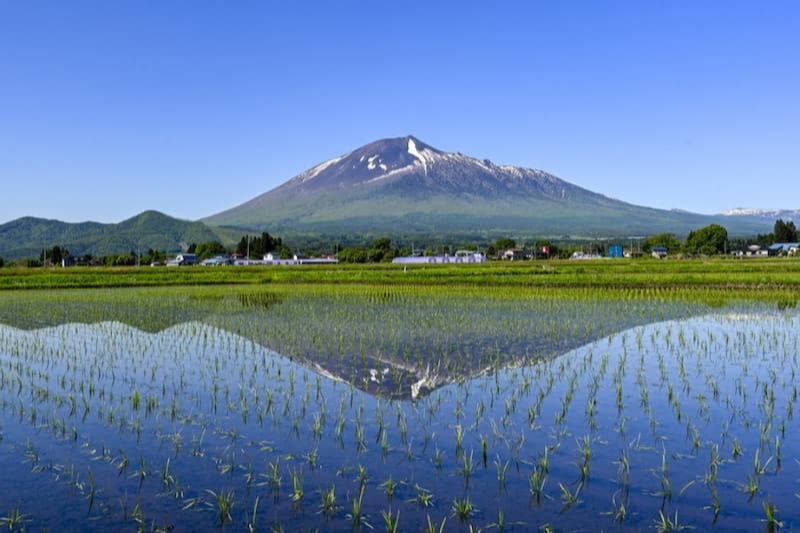 Nanbu Fuji Terbalik