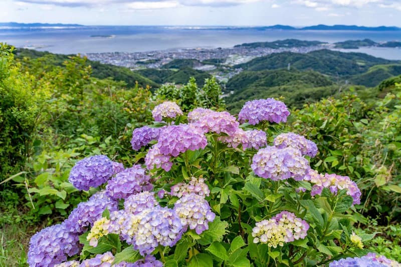Mikaneyama Skyline / Mikawa Bay Skyline