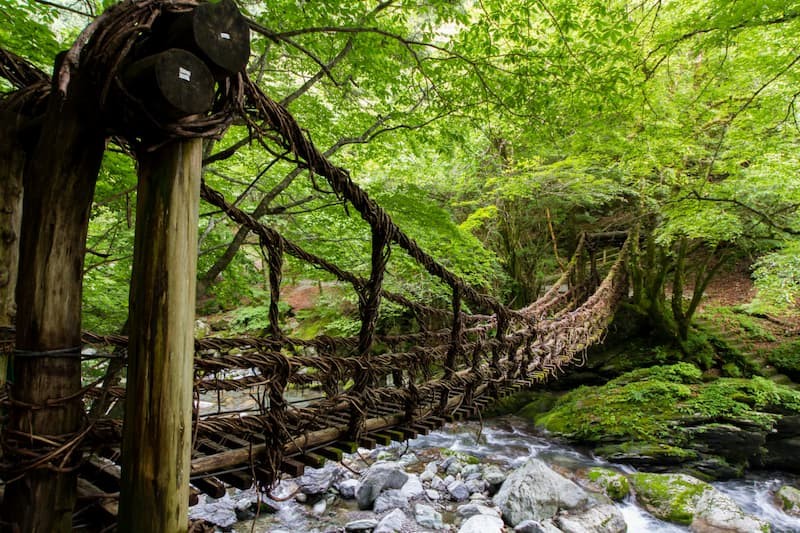 Oku-Iya Double Vine Bridge