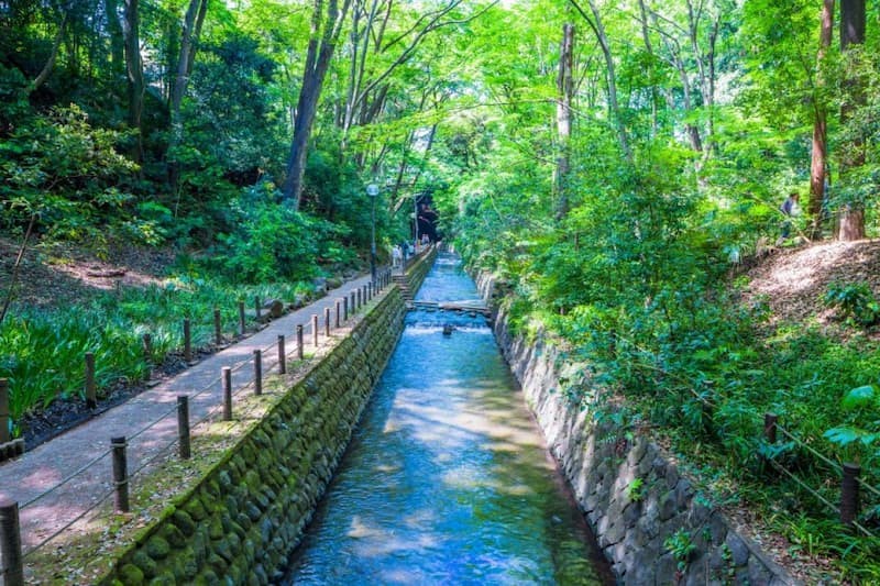 Todoroki Valley Park