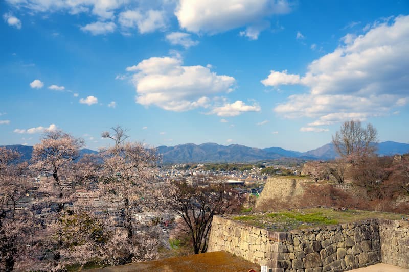 Tsuyama Castle Kakuzan Park