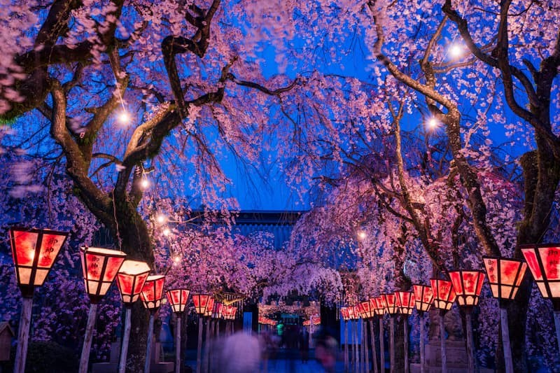 Map of Spots Around Mishima Shrine (Mishima Taisha) | ZEKKEI Japan