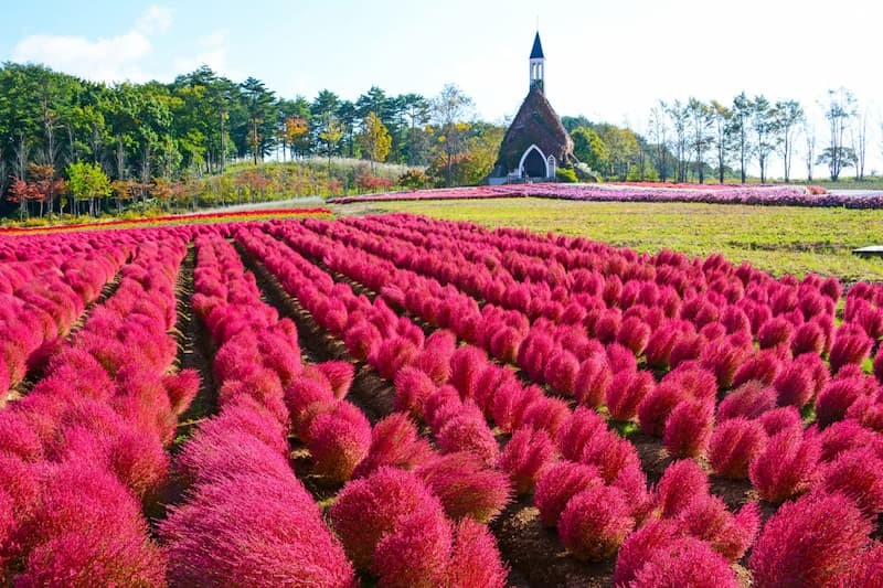 Map of Spots Around Bokka no Sato. Ranch in Gujo | ZEKKEI Japan