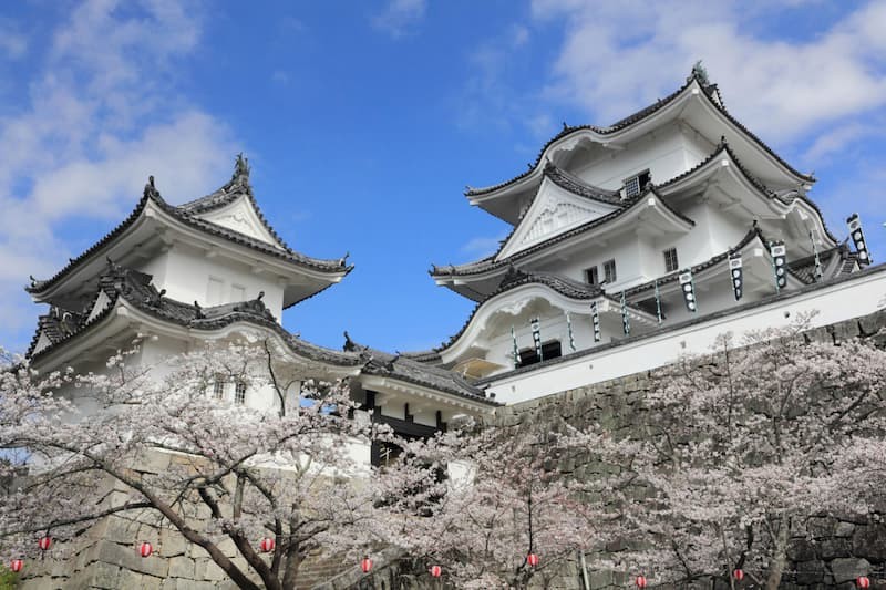 Ueno Castle (Hakuho Castle, Iga Ueno Castle)