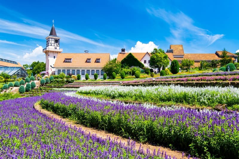 Làng Heidi (Trung tâm hoa tỉnh Yamanashi)