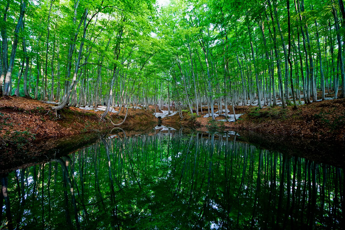 Enjoy local gourmets and superb views in Niigata!｜ZEKKEI Japan