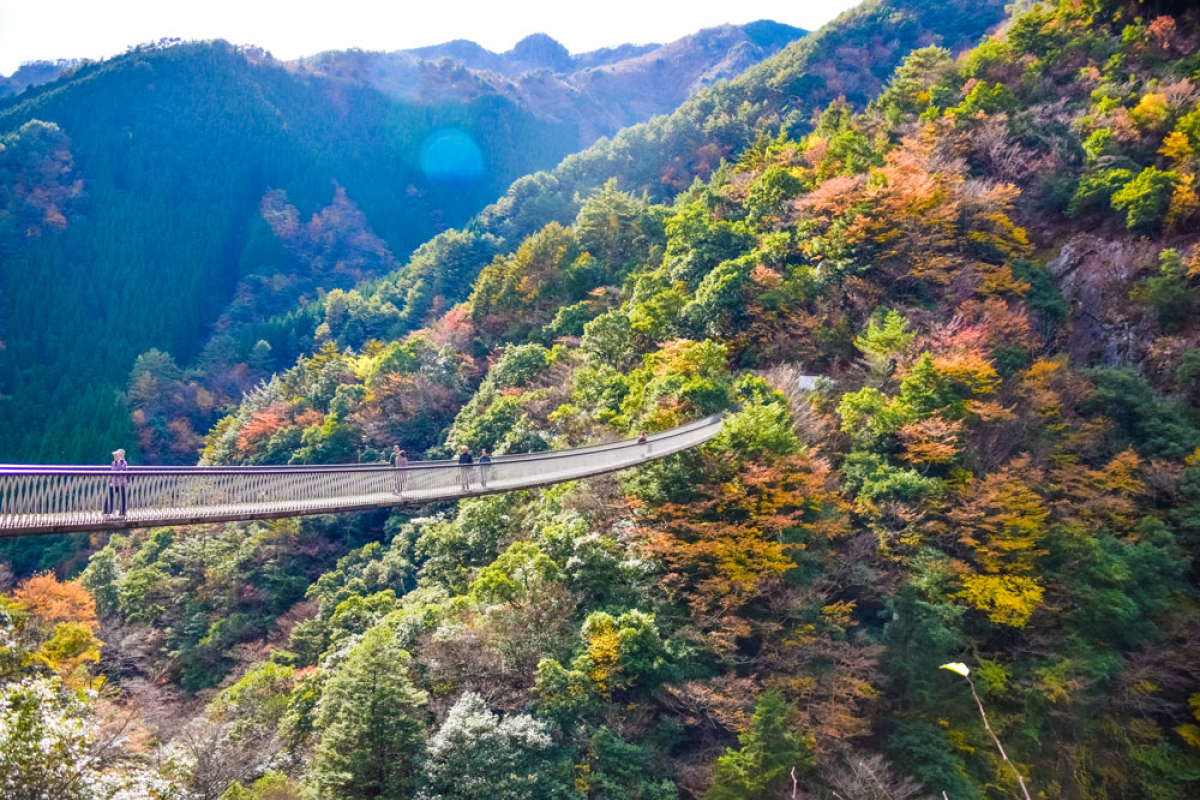 Scenic Spots for Yatsushiro, Minamata & Yunoko | ZEKKEI Japan (0/0)