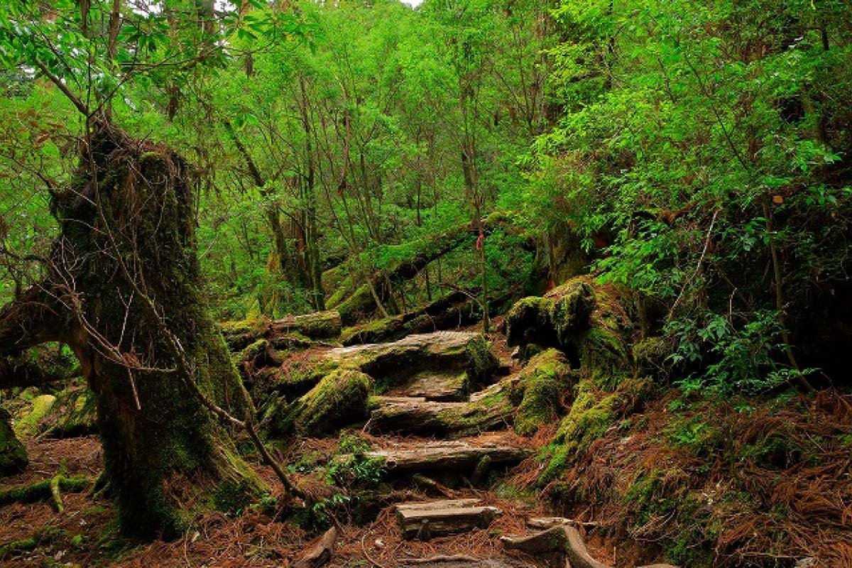 World Heritage Sites in Japan｜ZEKKEI Japan