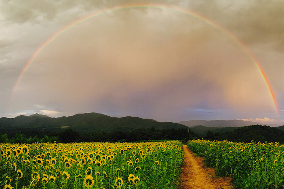 Feel the nostalgia of home town! Recommended sightseeing spots in ...