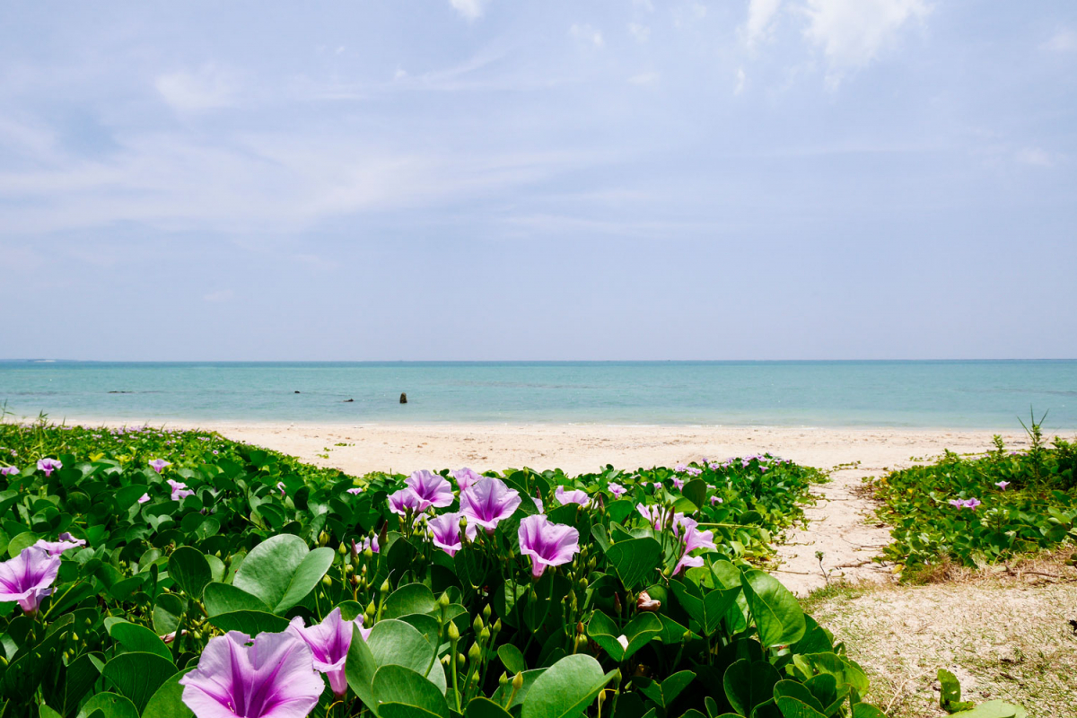 [Travel to Okinawa] 7 Attractive Spots Full of Culture, History, and ...