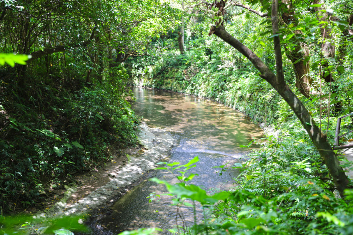 [Travel to Okinawa] 7 Attractive Spots Full of Culture, History, and ...