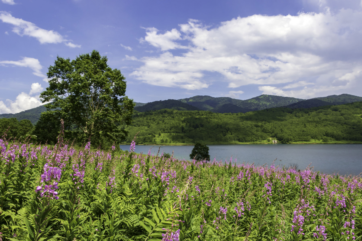 Easy to go even for the first time! The most beautiful places in Gunma ...