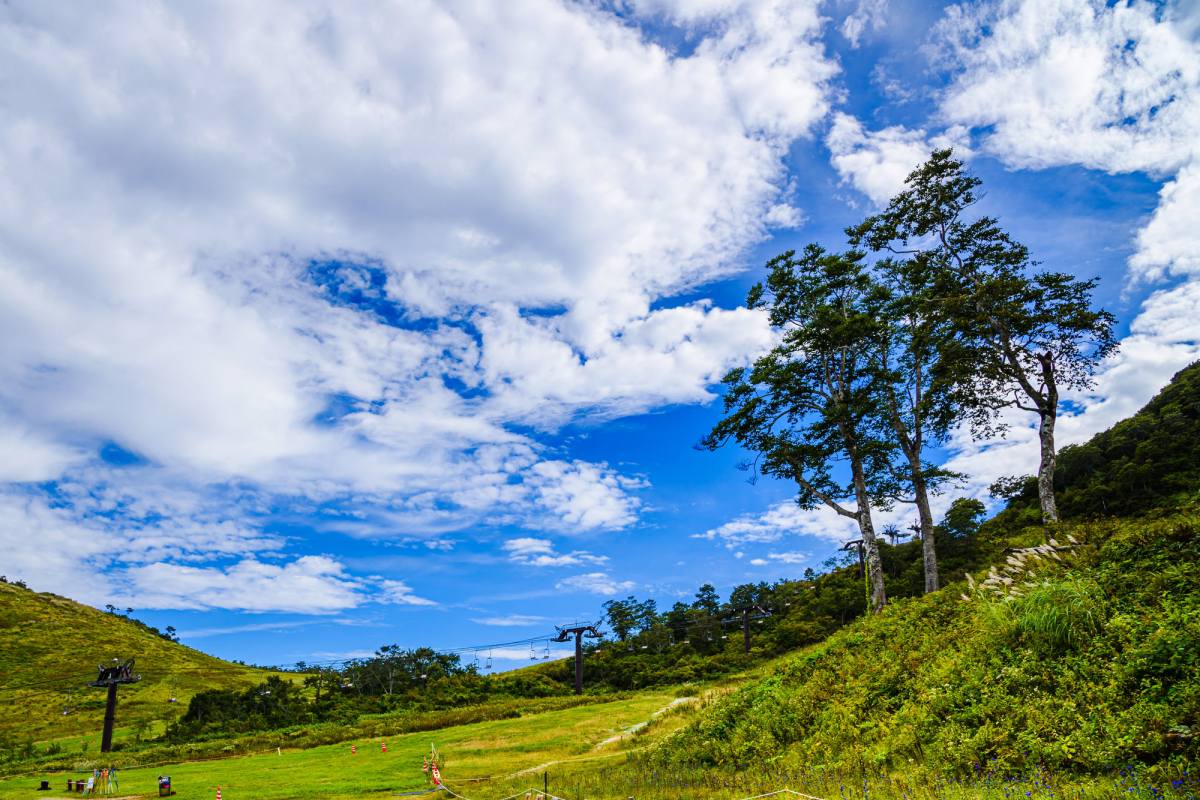 Easy to go even for the first time! The most beautiful places in Gunma ...