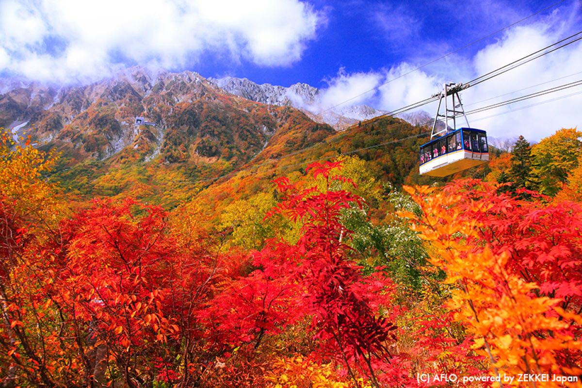 The best places to see autumn leaves! 5 Autumn Foliage Spots in Japan ...