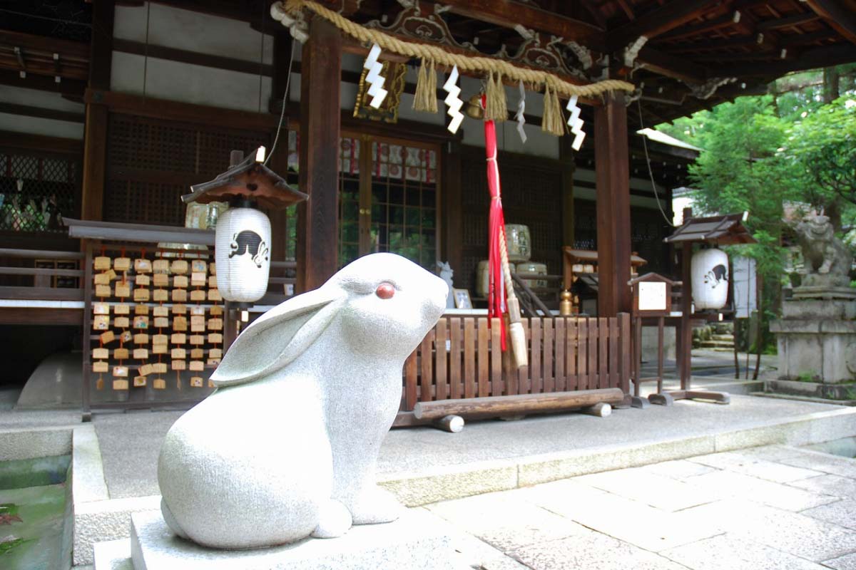 Take photos at the 4 temples and shrines filled with ｜ZEKKEI Japan