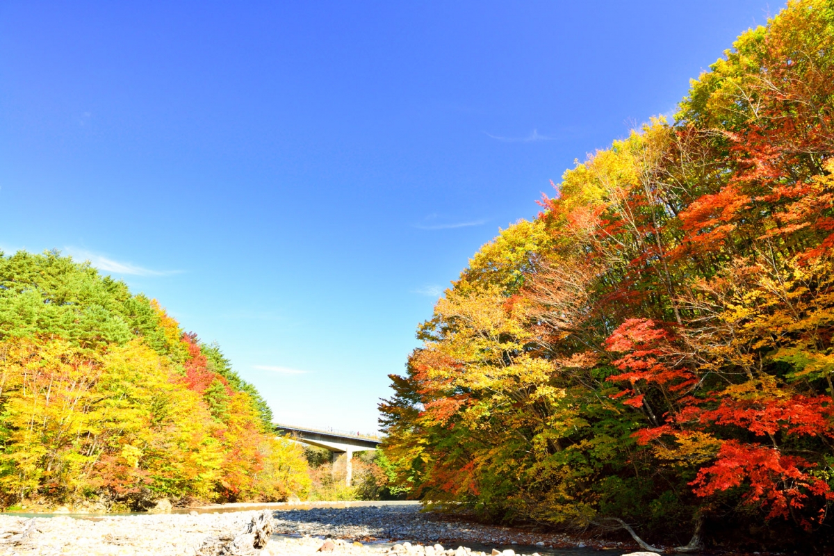 Check out these 11 gorgeous autumn leaves spots in Tohoku area (Aomori ...