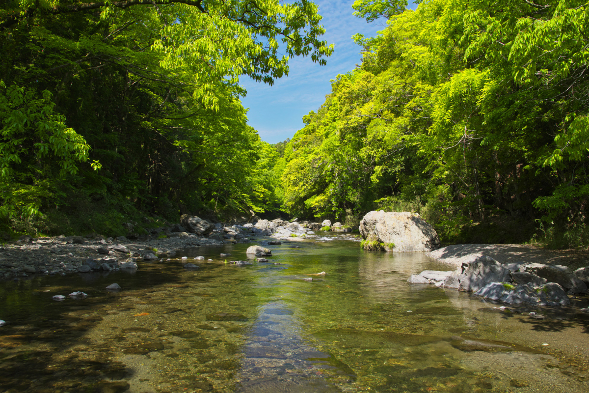 Easy to go even for the first time! The most beautiful places in Gunma ...