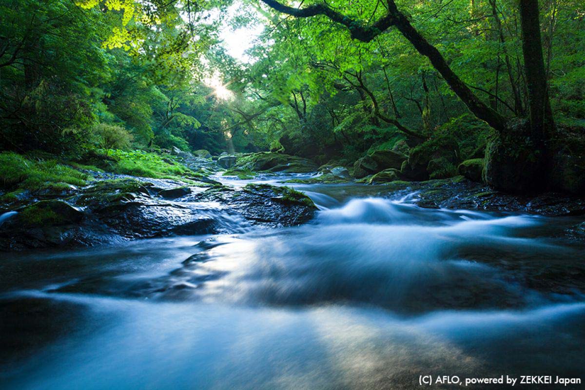 8 Kumamoto great views: Road of Laputa, Trolley train Yuusuge, Sensuikyo gorges...｜ZEKKEI Japan