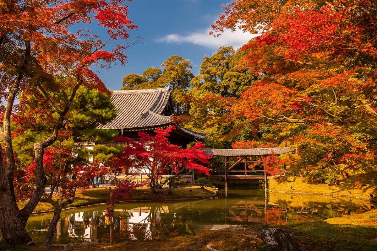 10 Autumn Leaves Spots In Kyoto To Visit This Autumn ZEKKEI Japan