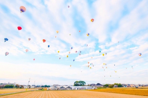 The fairy-tale like scene of colorful balloons soaring up into the sky ...