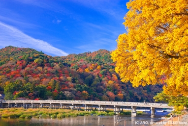 The best places to see autumn leaves! 5 Autumn Foliage Spots in Japan ...
