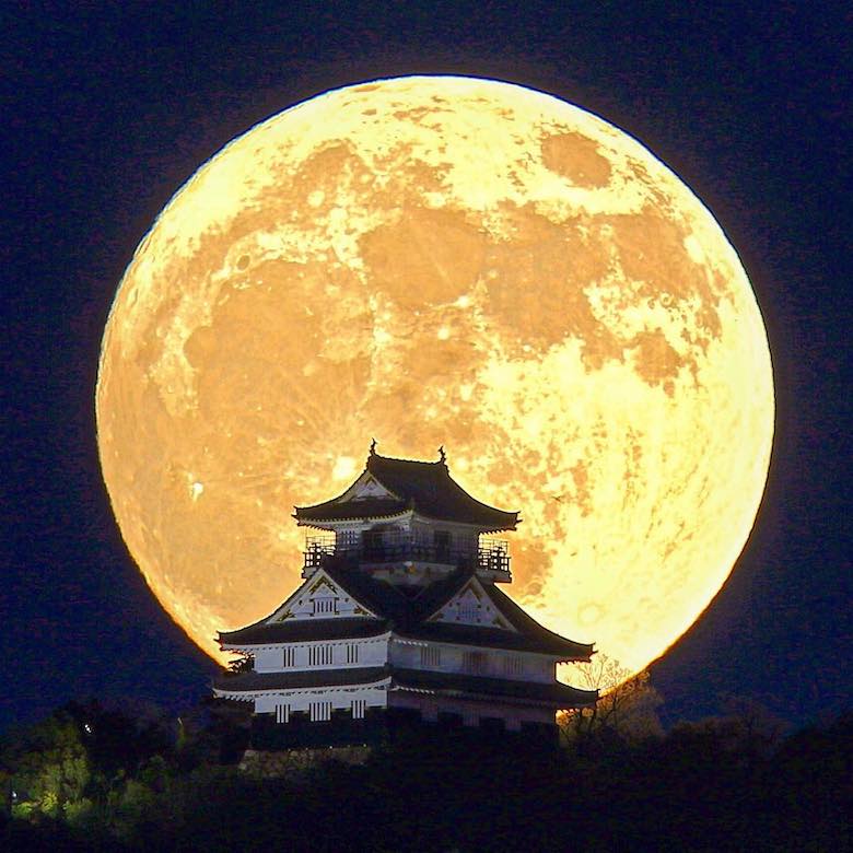 Overwhelming collaboration of the moon and Gifu Castle, an unassailable ...