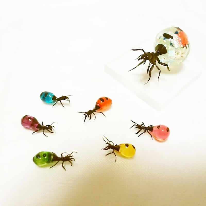 Collages of living things that you like to observe in details, created ...