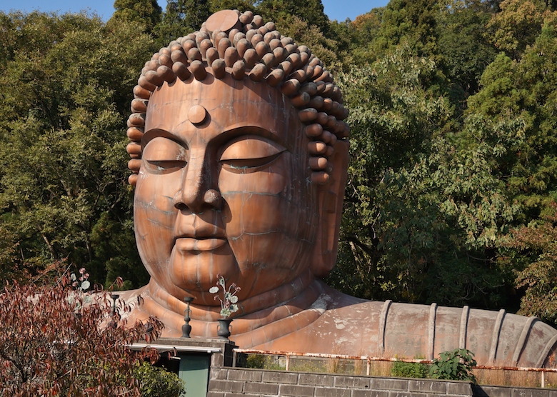 5 selections of the Japanese Great Buddhas with a bit unique feature ...