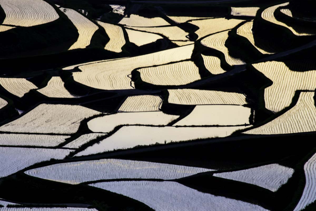 Terraced Rice Fields of Hamanoura | ZEKKEI Japan