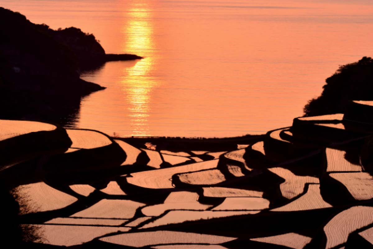 Terraced Rice Fields of Hamanoura | ZEKKEI Japan