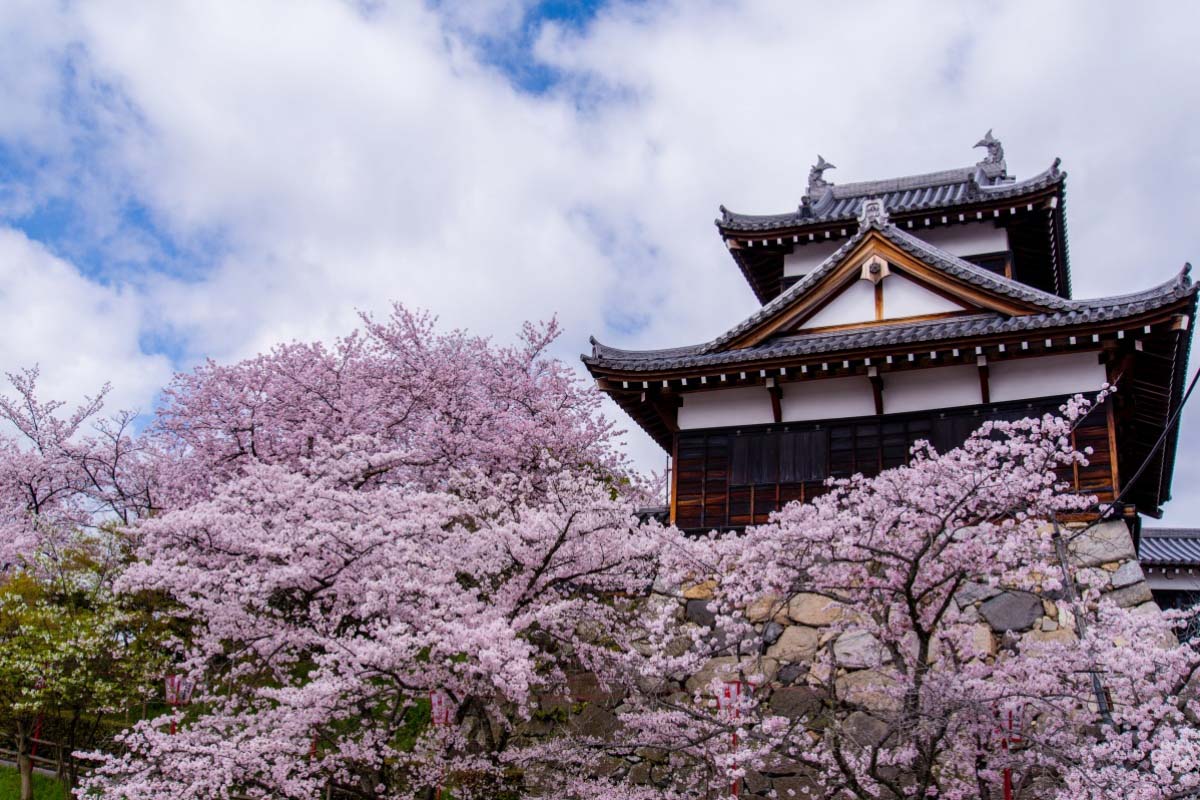 Koriyama Castle Ruins | ZEKKEI Japan
