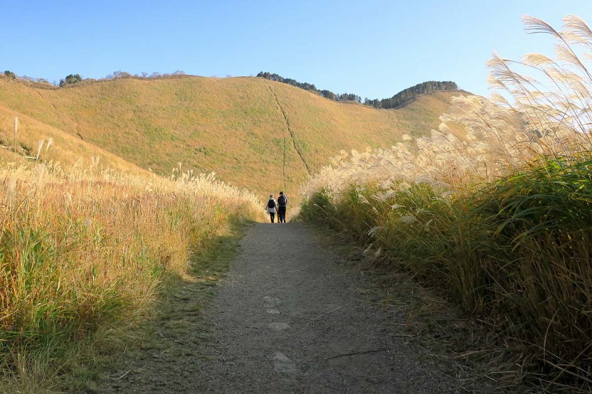 Soni Plateau | ZEKKEI Japan