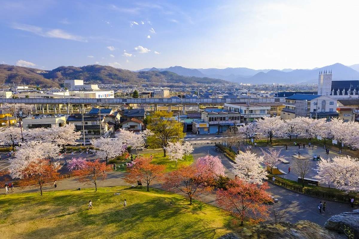 The Ruins of the Ueda Castle Park | ZEKKEI Japan