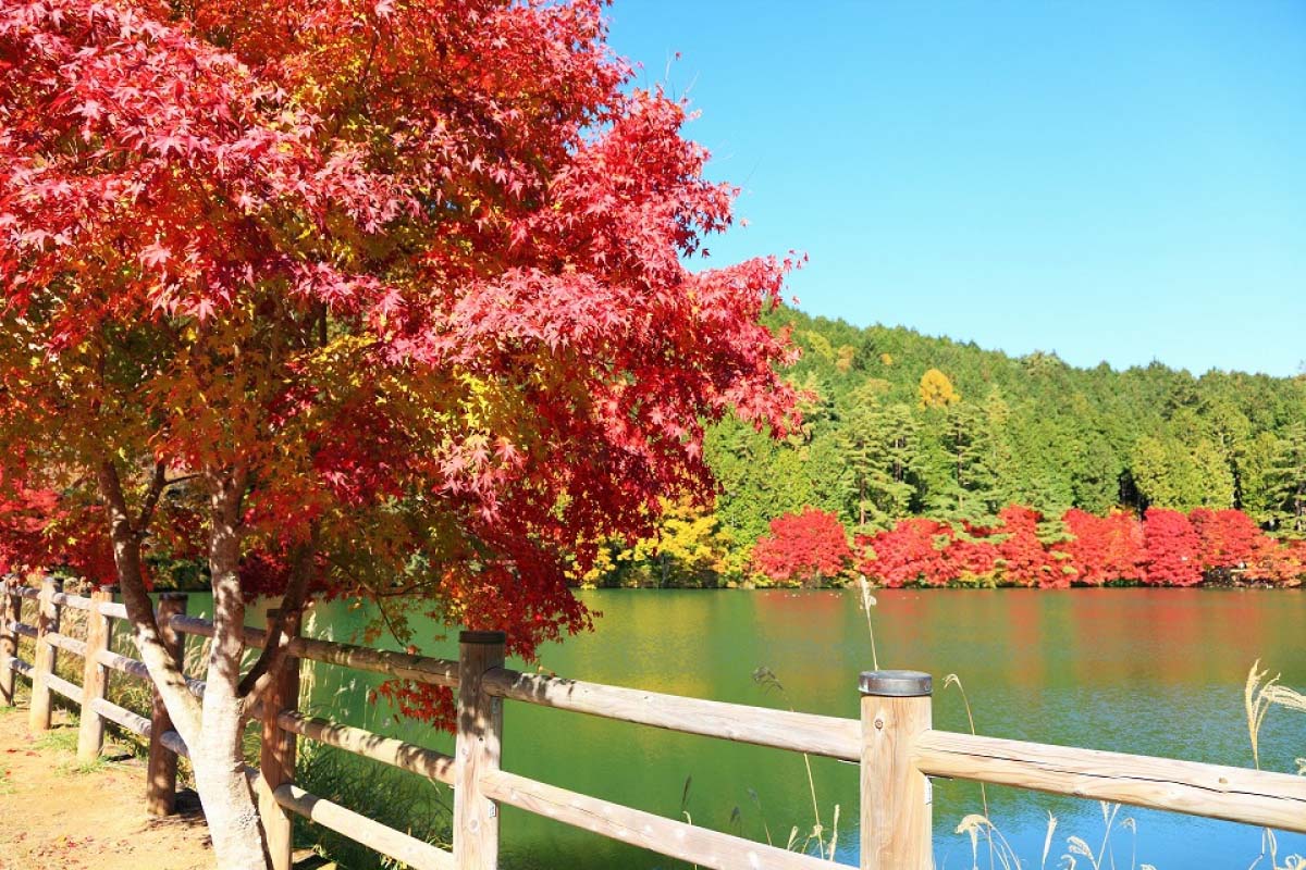 Minami Inaga Lake | ZEKKEI Japan