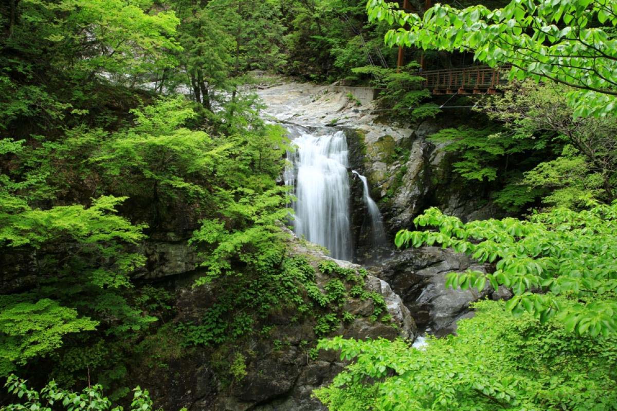 Mitarai Valley | ZEKKEI Japan