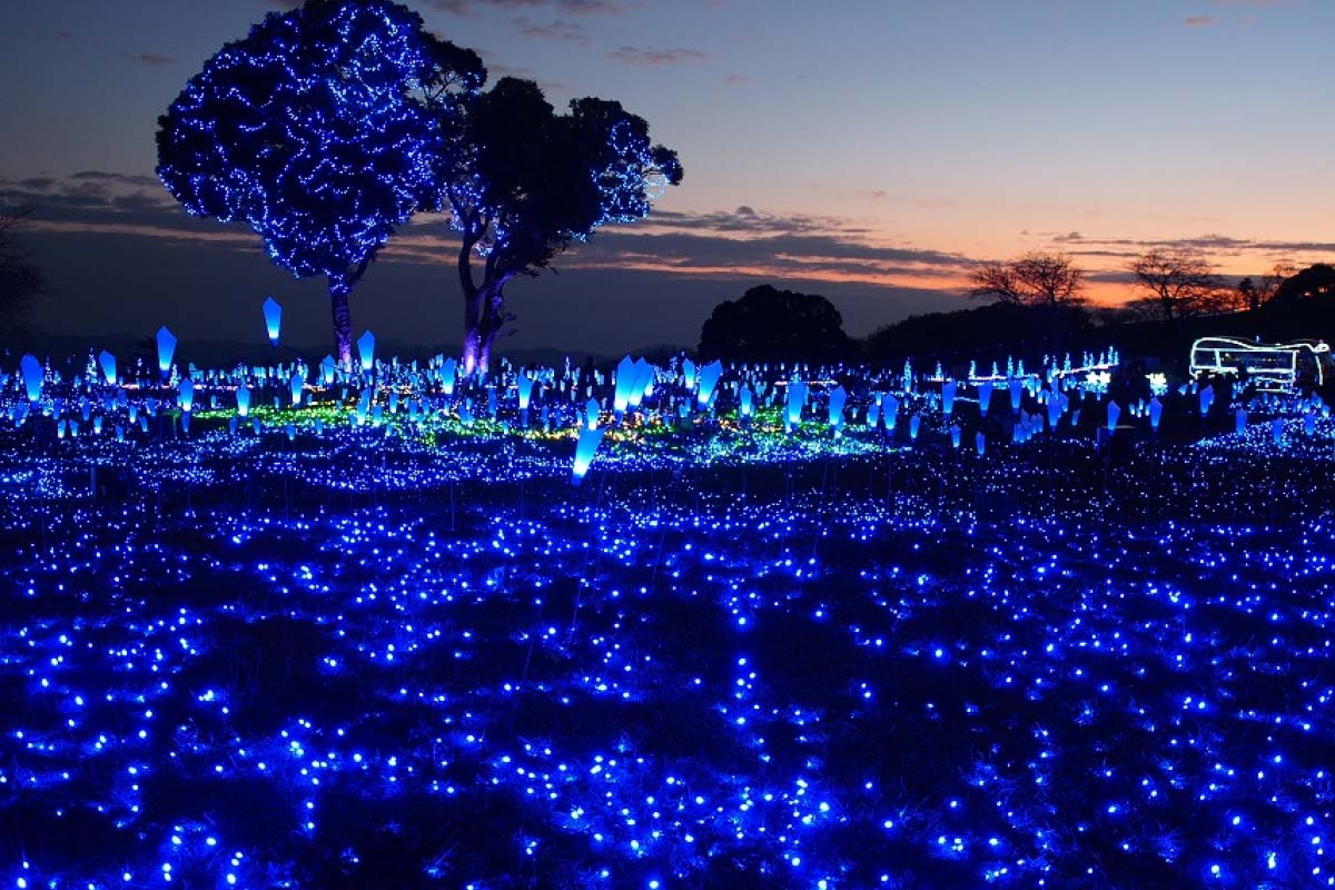 Mother Farm (Chiba) | Flower and animal entertainment farm