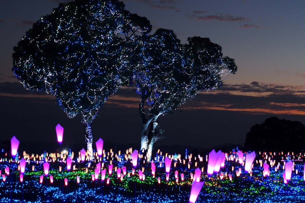 Mother Farm (Chiba) | Flower and animal entertainment farm