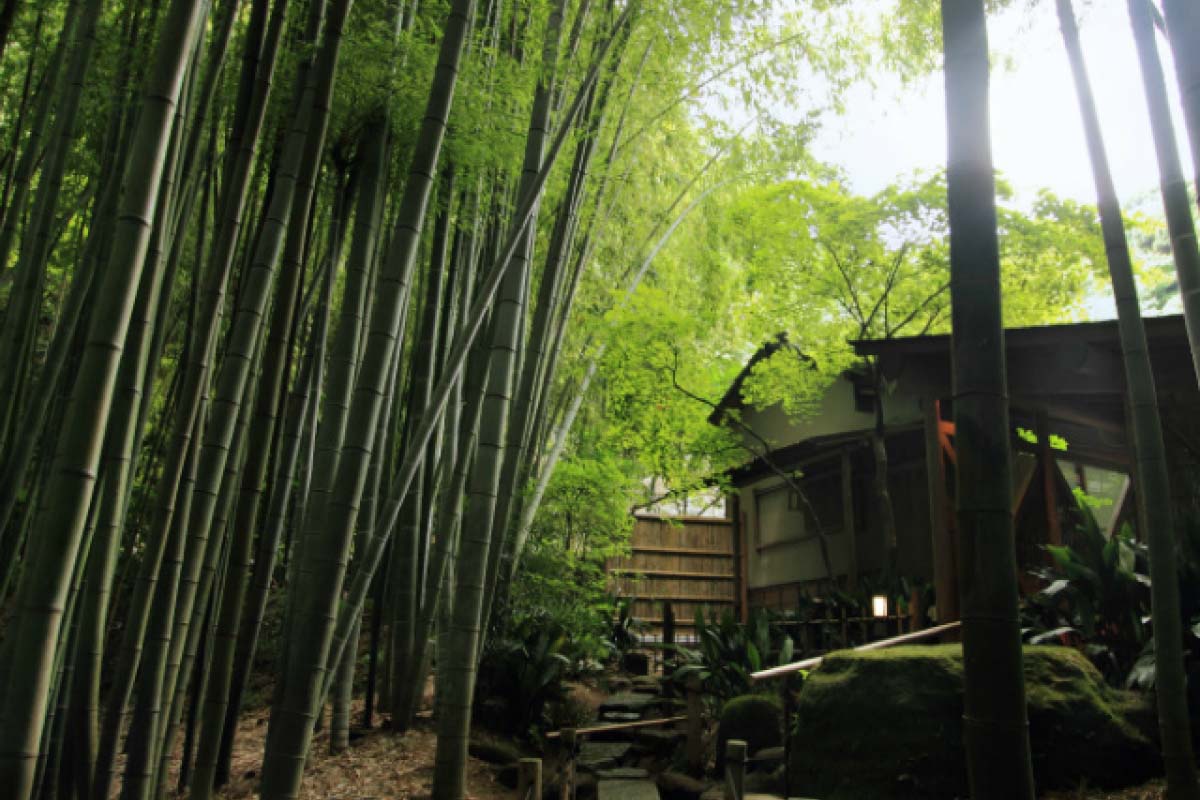 Hokokuji Temple | ZEKKEI Japan